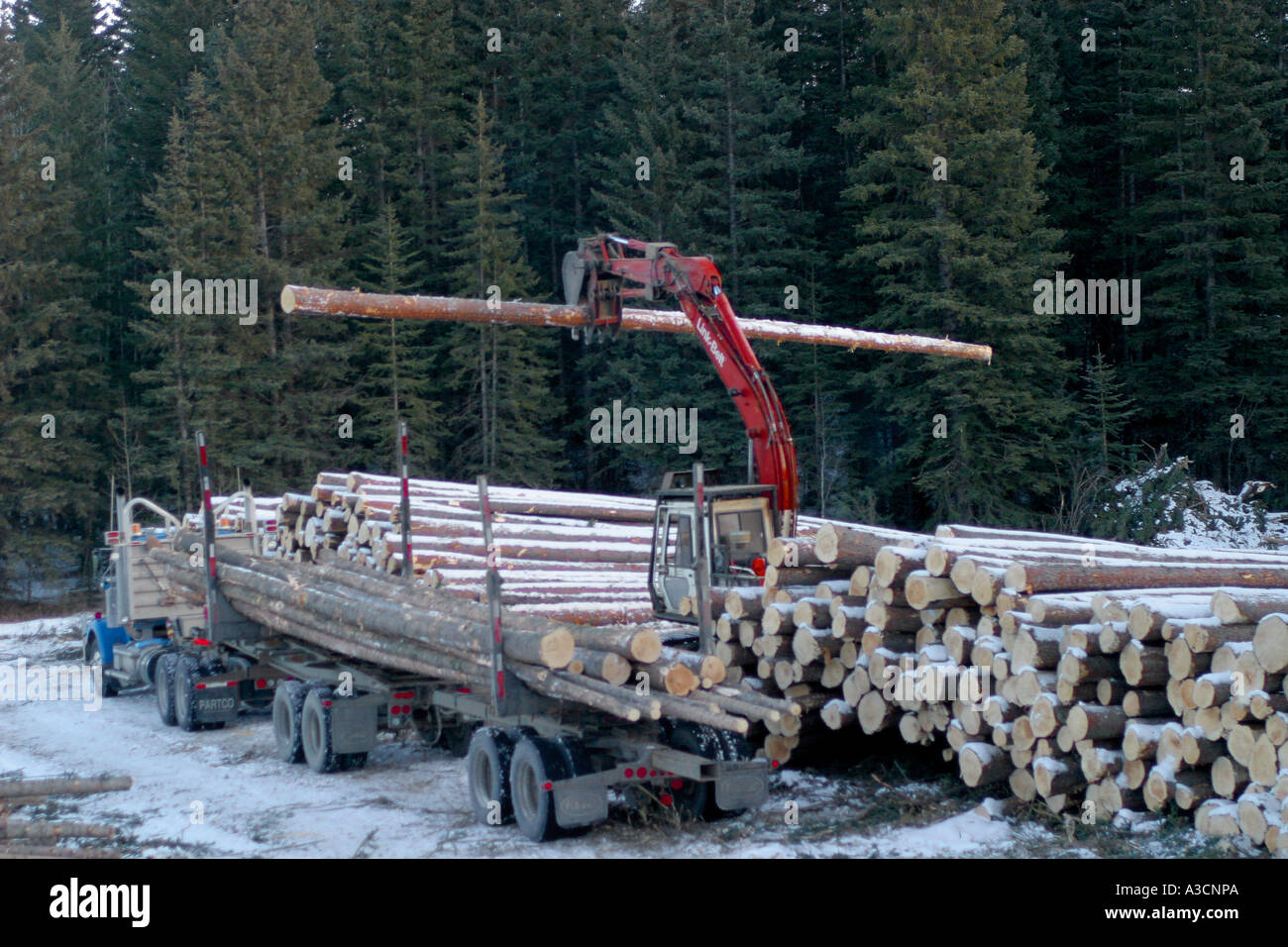 Logging truck hauling logs hi-res stock photography and images - Alamy