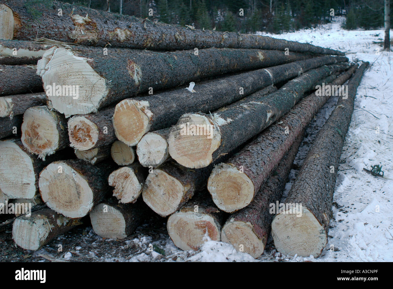 Logging truck hauling logs hi-res stock photography and images - Alamy