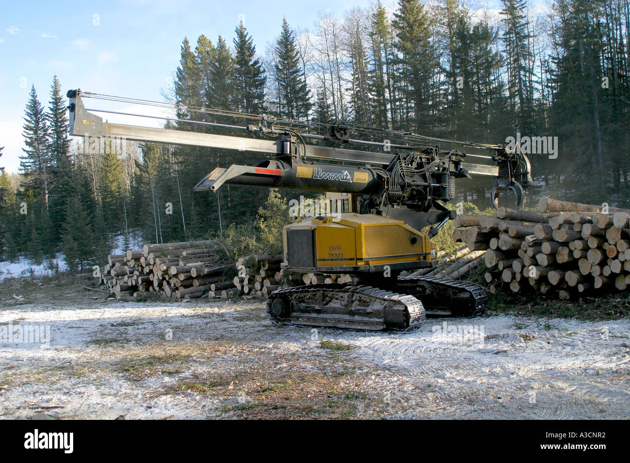 Logging industry Stock Photo - Alamy