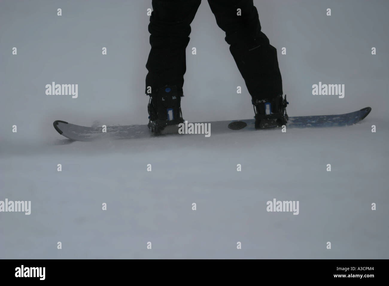 Snow boarding in the Canadian Rockies Stock Photo - Alamy
