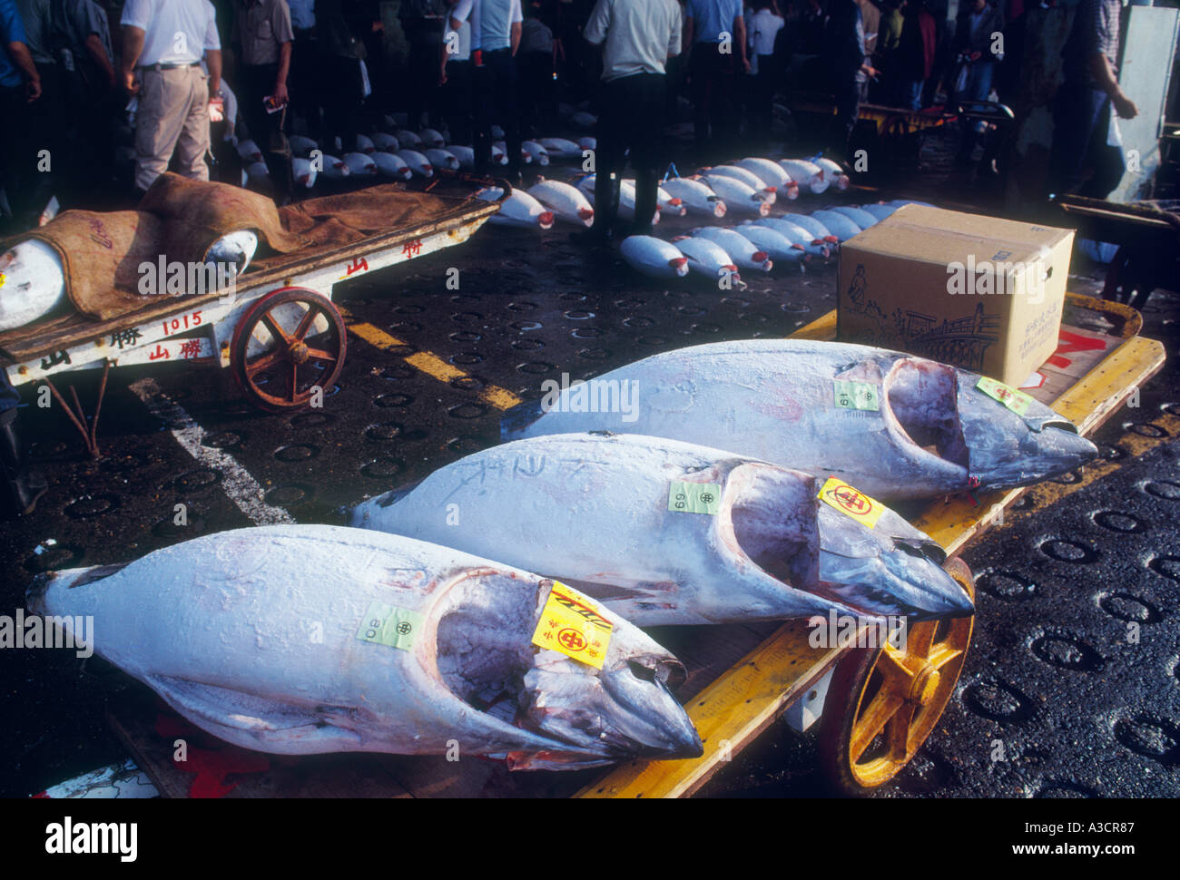 Tokyo Japan Tsukiji fish auction market business Stock Photo - Alamy