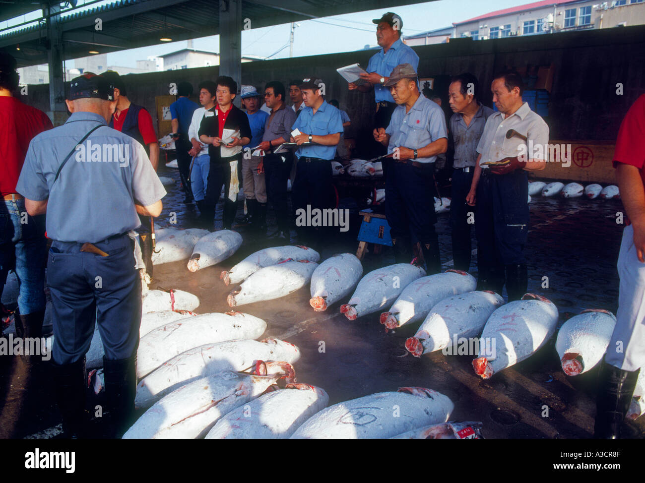 Tokyo Japan Tsukiji fish auction market business Stock Photo - Alamy