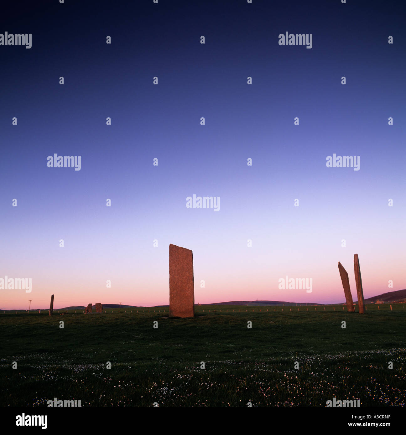 The Stones of Stennes, Orkney. Photographed in June during the "simmer ...