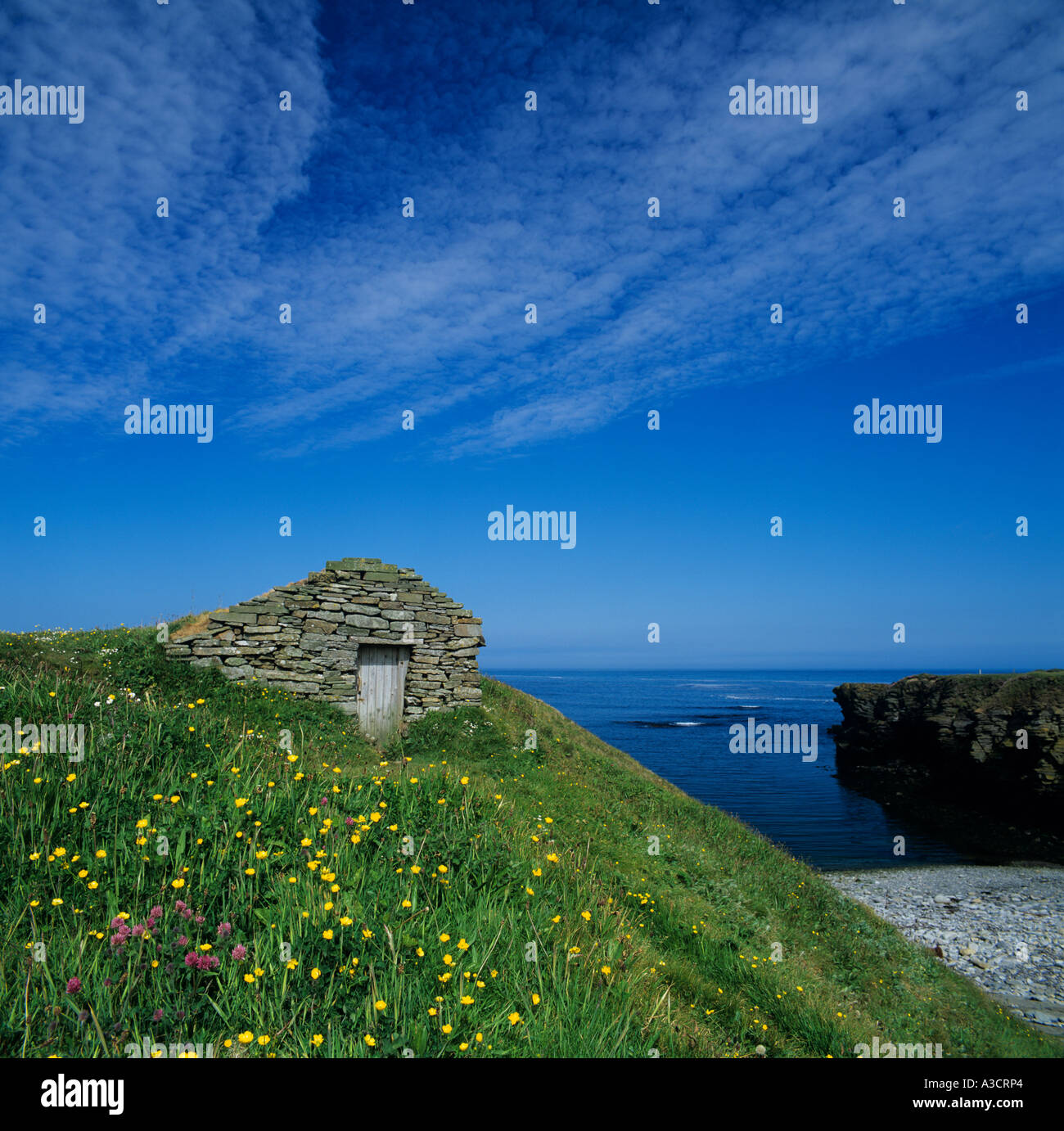 Bay of birsay hi-res stock photography and images - Alamy
