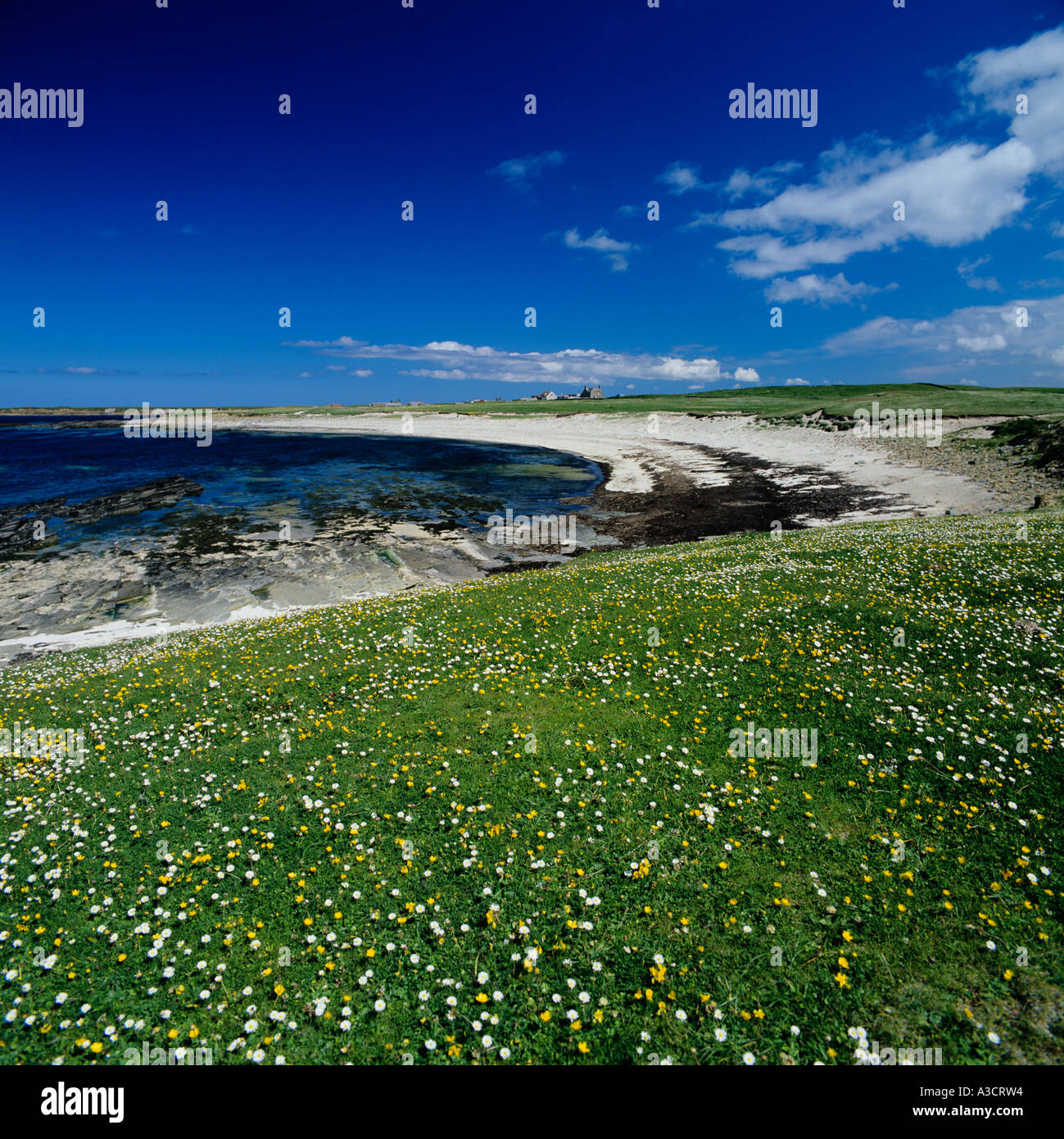 Birsay bay hi-res stock photography and images - Alamy