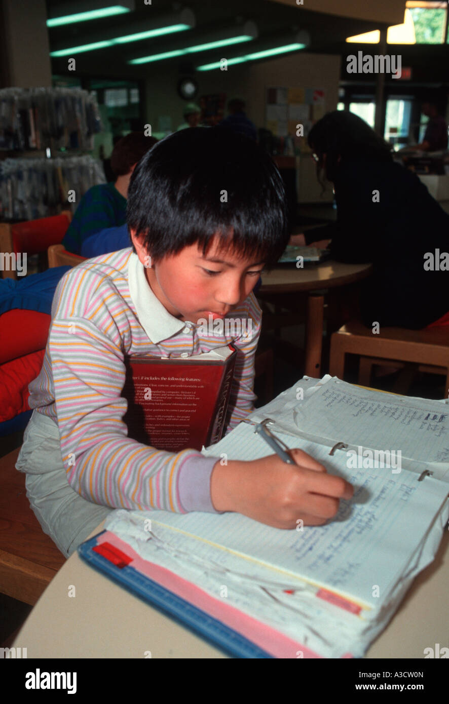 Chinese American school student works on homework after school at a New ...
