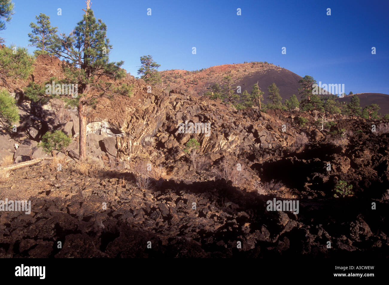 Lavafield and crater of Sunset Crater National Monument Arizona USA ...