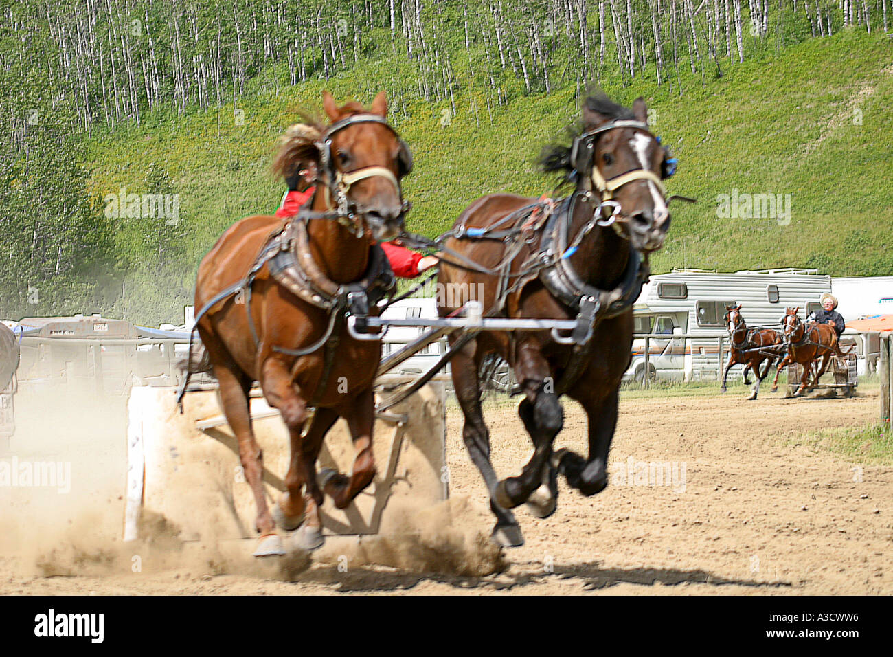 Agile chariot hi-res stock photography and images - Alamy