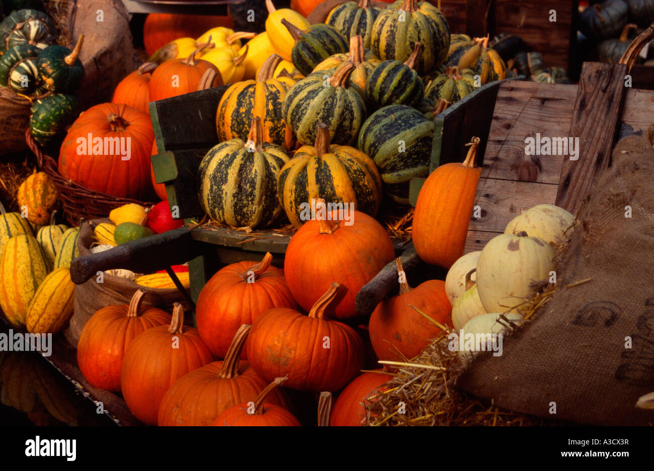 English gardens halloween hi-res stock photography and images - Alamy