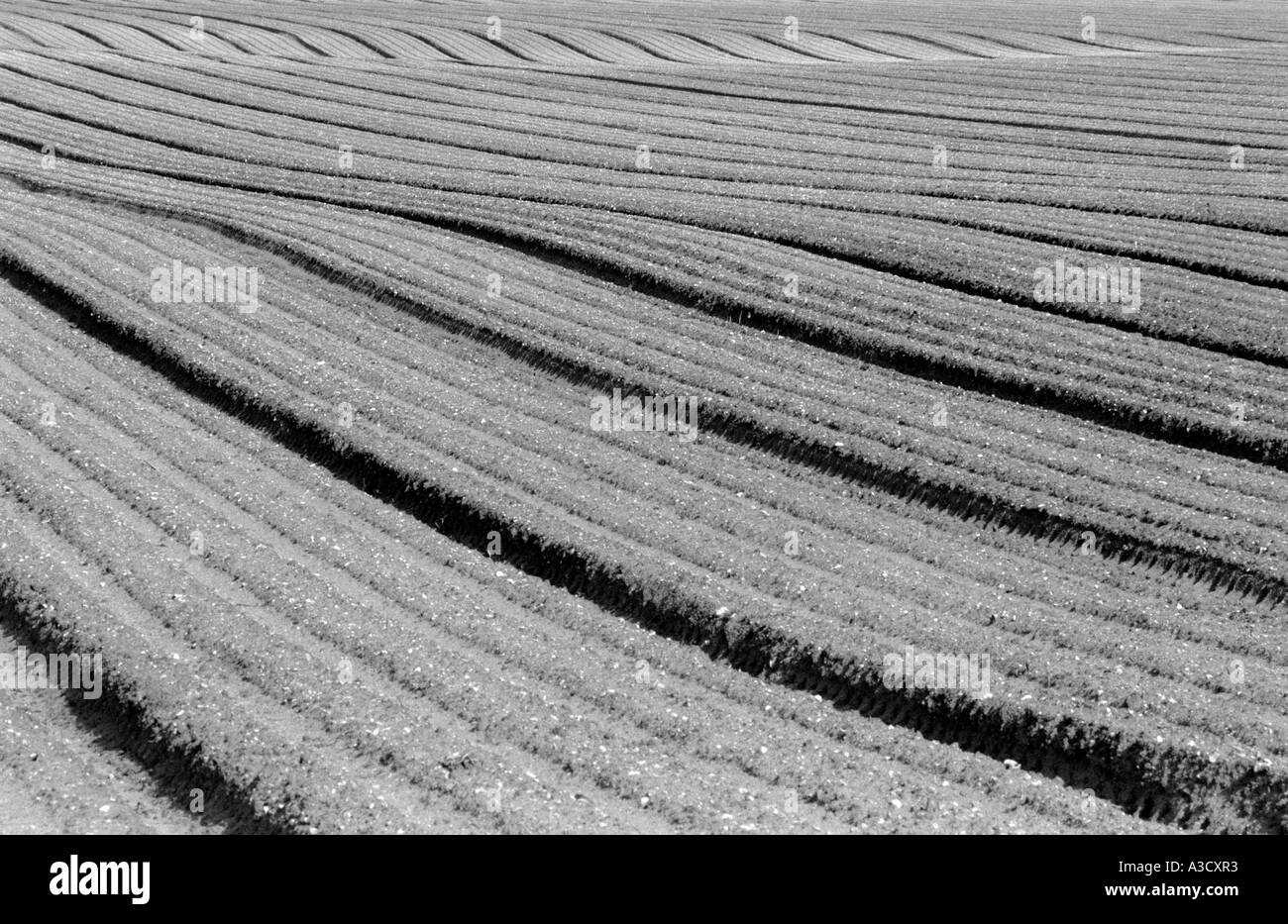 Patterns in a ploughed field Stock Photo - Alamy