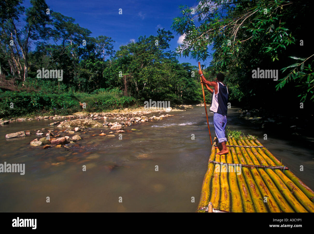 Jamaican man, adult man, tour guide, bamboo raft, bamboo raft trip, The ...