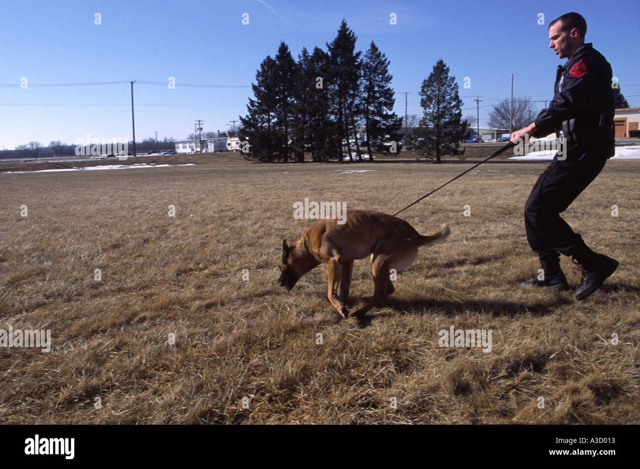 Police dog tracking dog hi-res stock photography and images - Alamy
