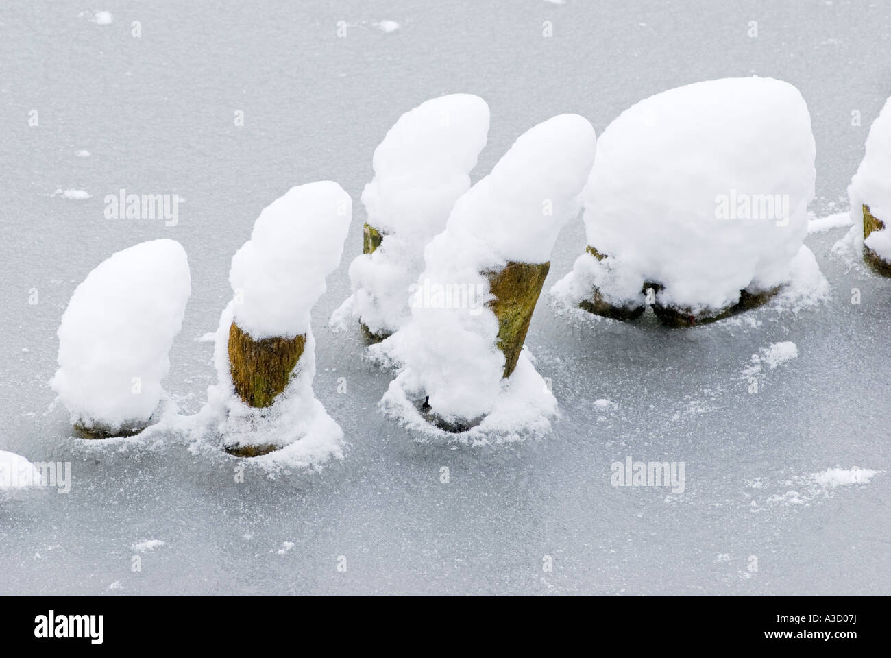 Wooden sticks covered with snow Stock Photo - Alamy