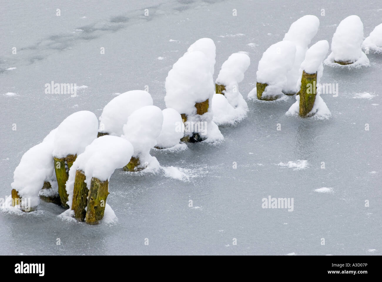Wooden sticks covered with snow Stock Photo - Alamy