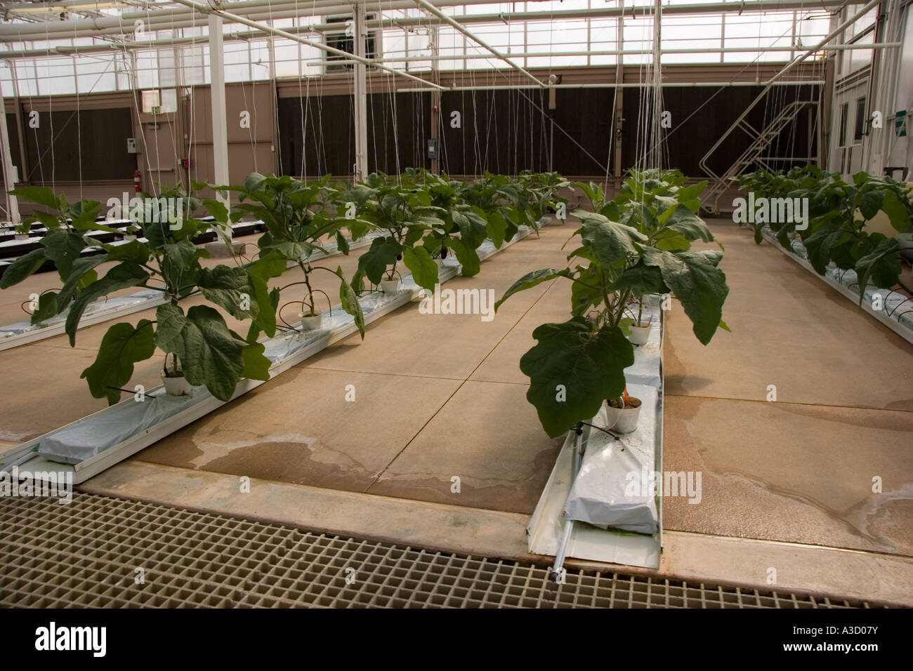Hydrologically hi-res stock photography and images - Alamy