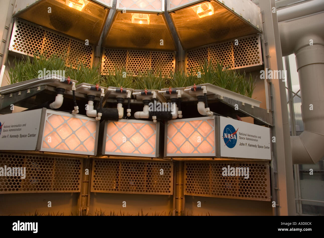 Hydroponics Farming Fruit and Vegetables in indoor Greenhouse on sand ...