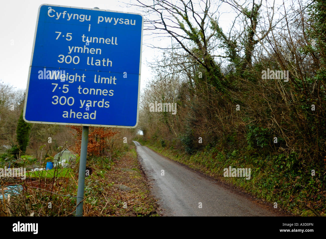 Warning sign on a Welsh country lane Stock Photo - Alamy