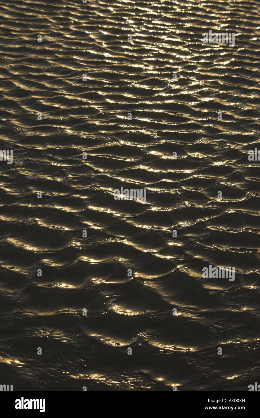 Concept / abstract - water ripples (sea water Stock Photo - Alamy