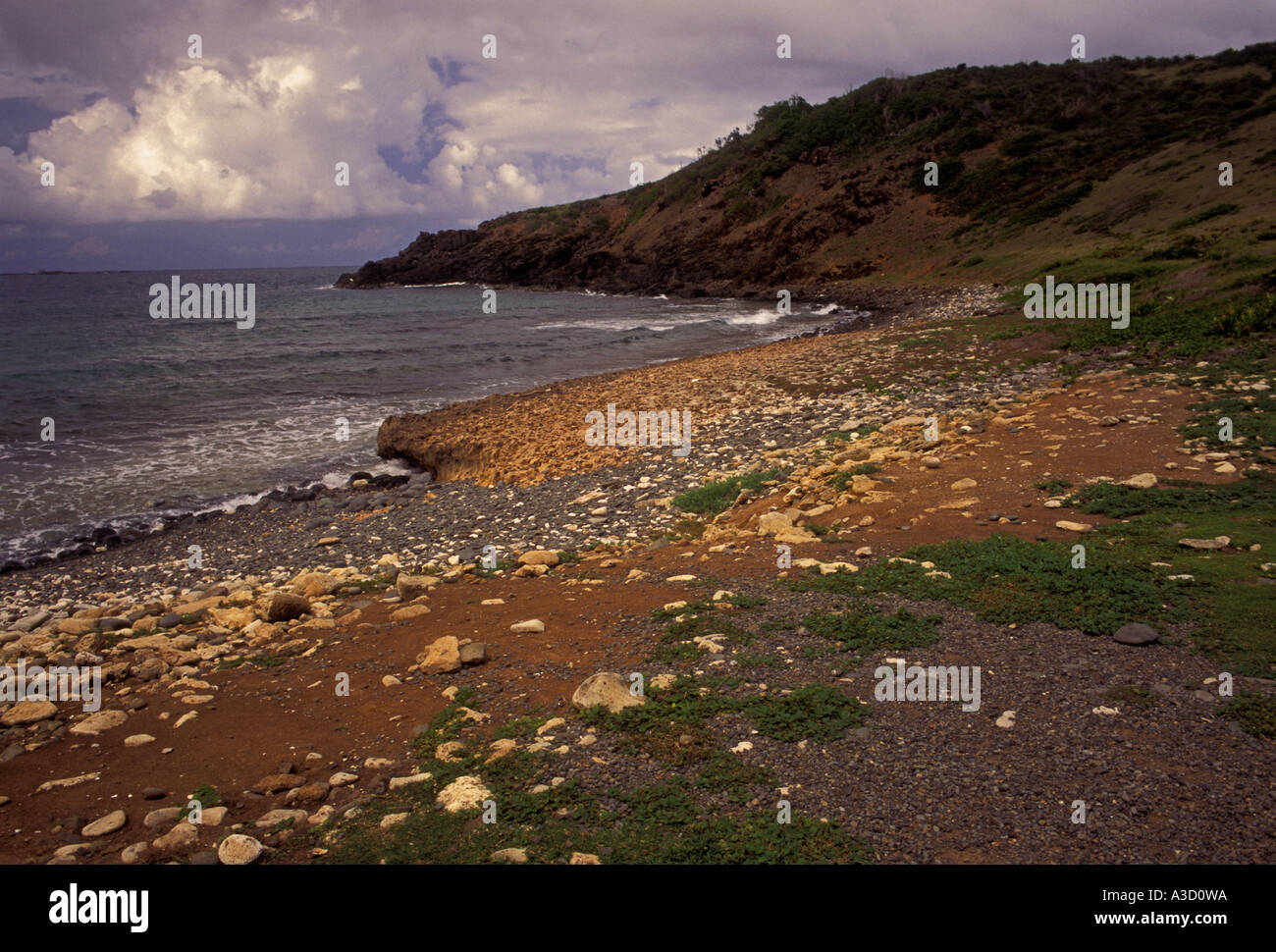 Las Cabezas de San Juan Nature Reserve, Las Cabezas de San Juan, Nature ...
