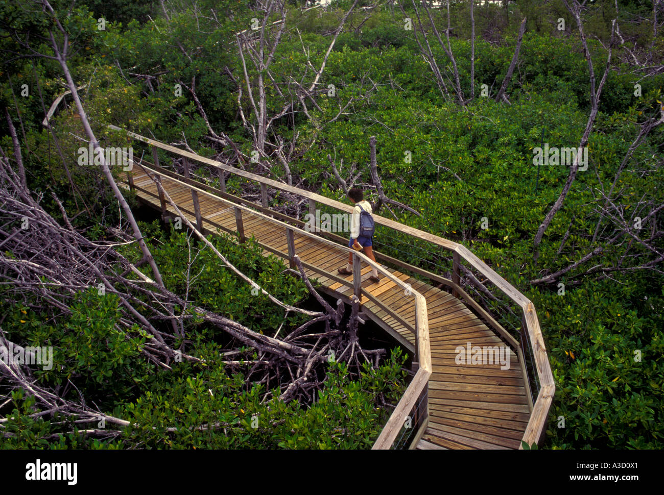 tourist, visiting, Las Cabezas de San Juan Nature Reserve, Las Cabezas ...