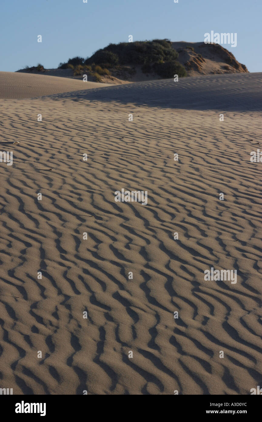 Oceano Sand Dunes Stock Photo - Alamy