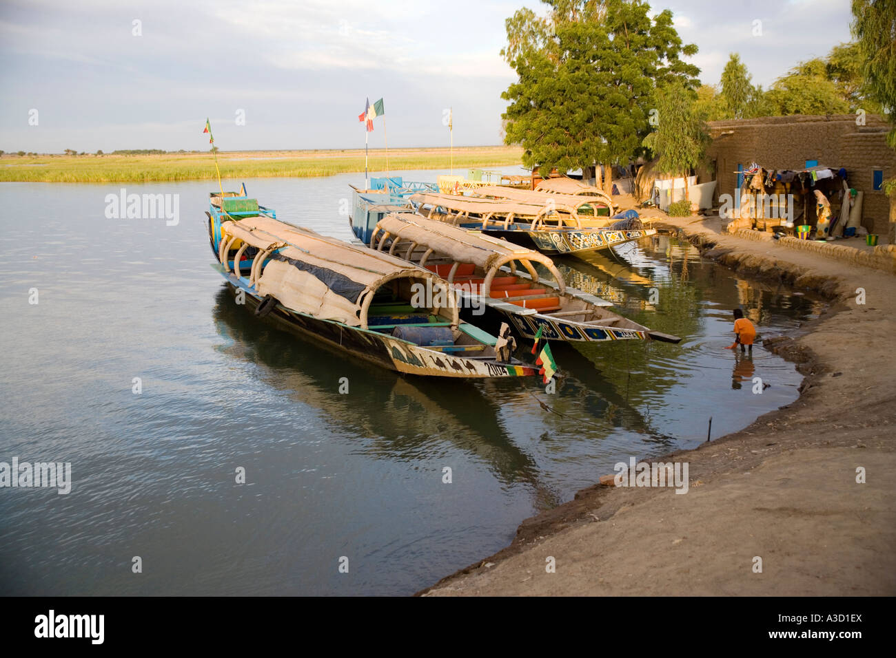 Pirogue wooden canoes on the Niger river at Korioume the port of ...
