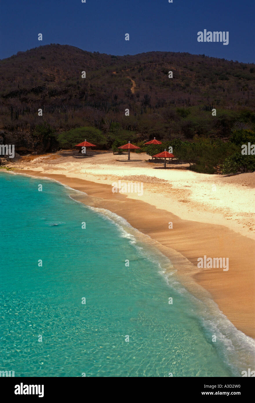 Curacao knip beach hi-res stock photography and images - Alamy