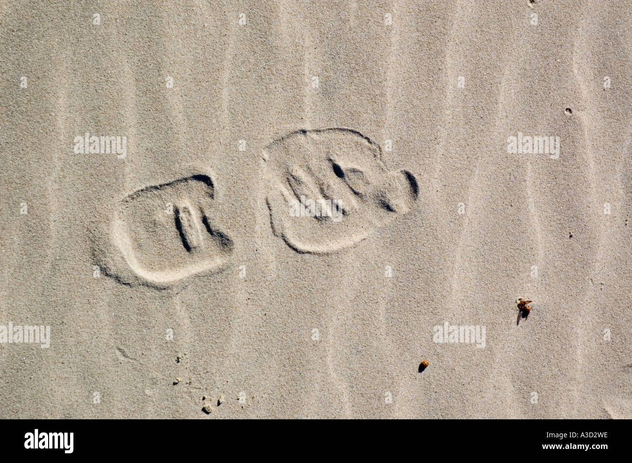 Sand boot hi-res stock photography and images - Alamy