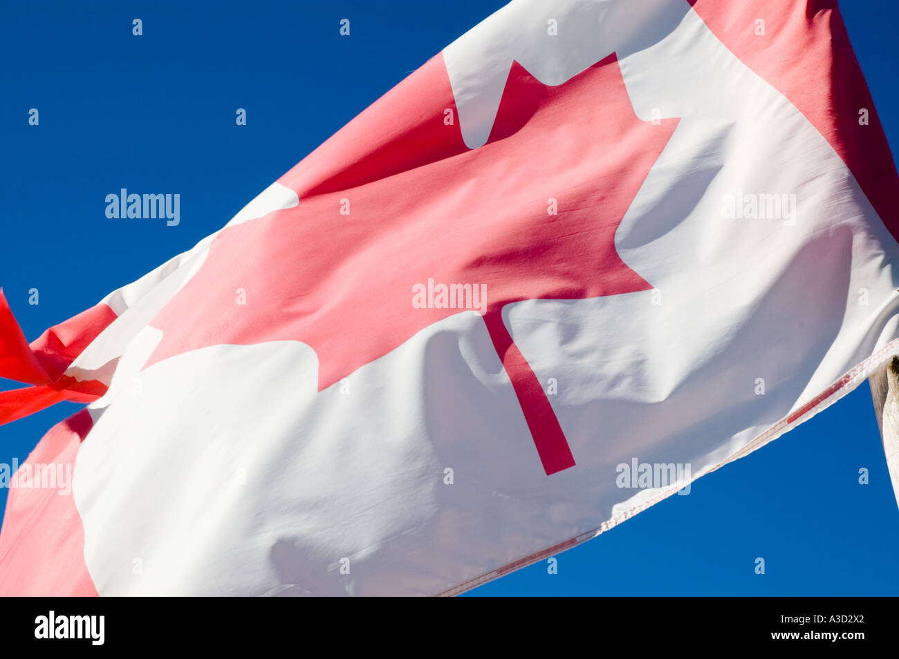 Canadian flag icon hi-res stock photography and images - Alamy