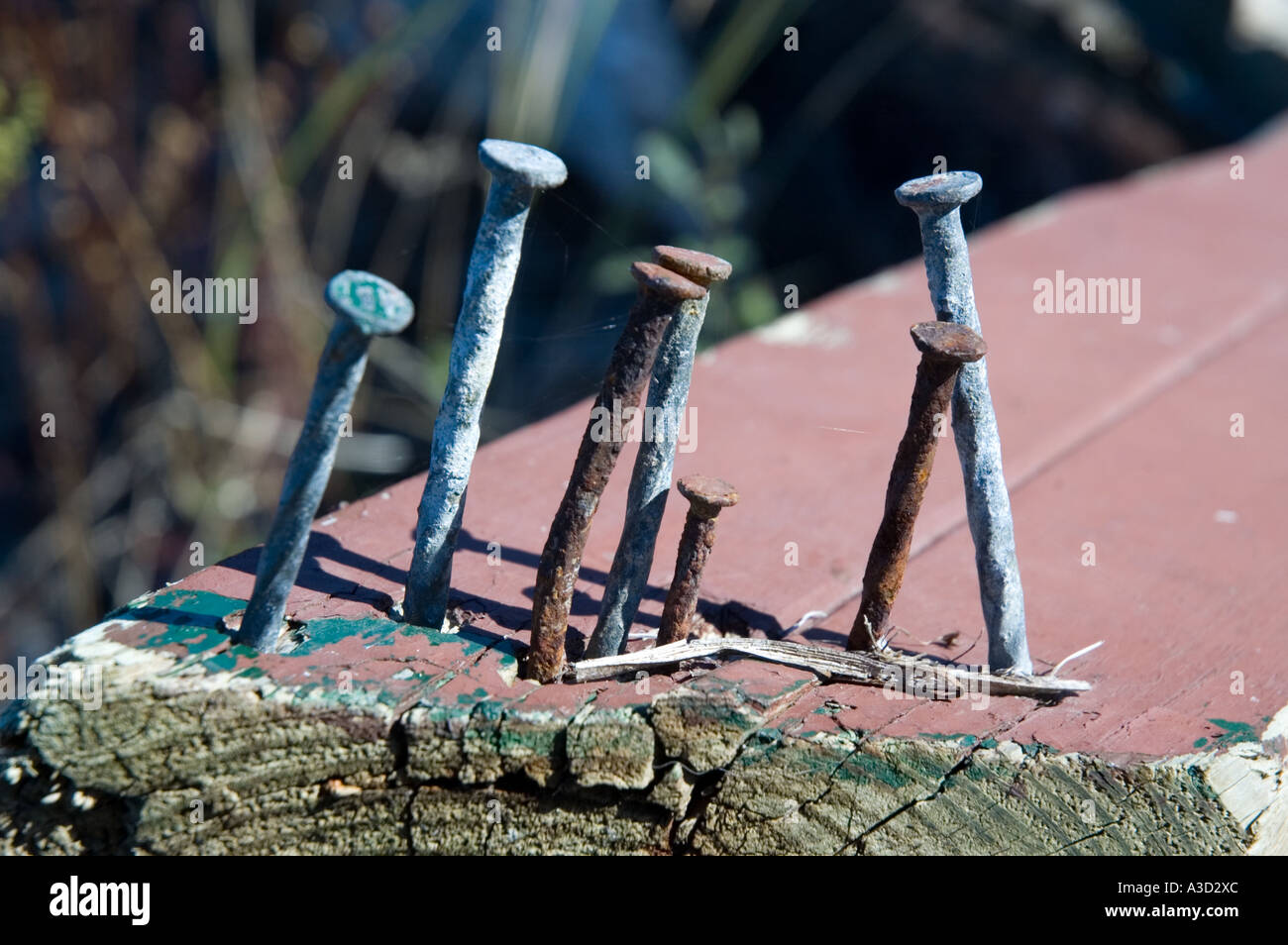 Extracting nails hi-res stock photography and images - Alamy