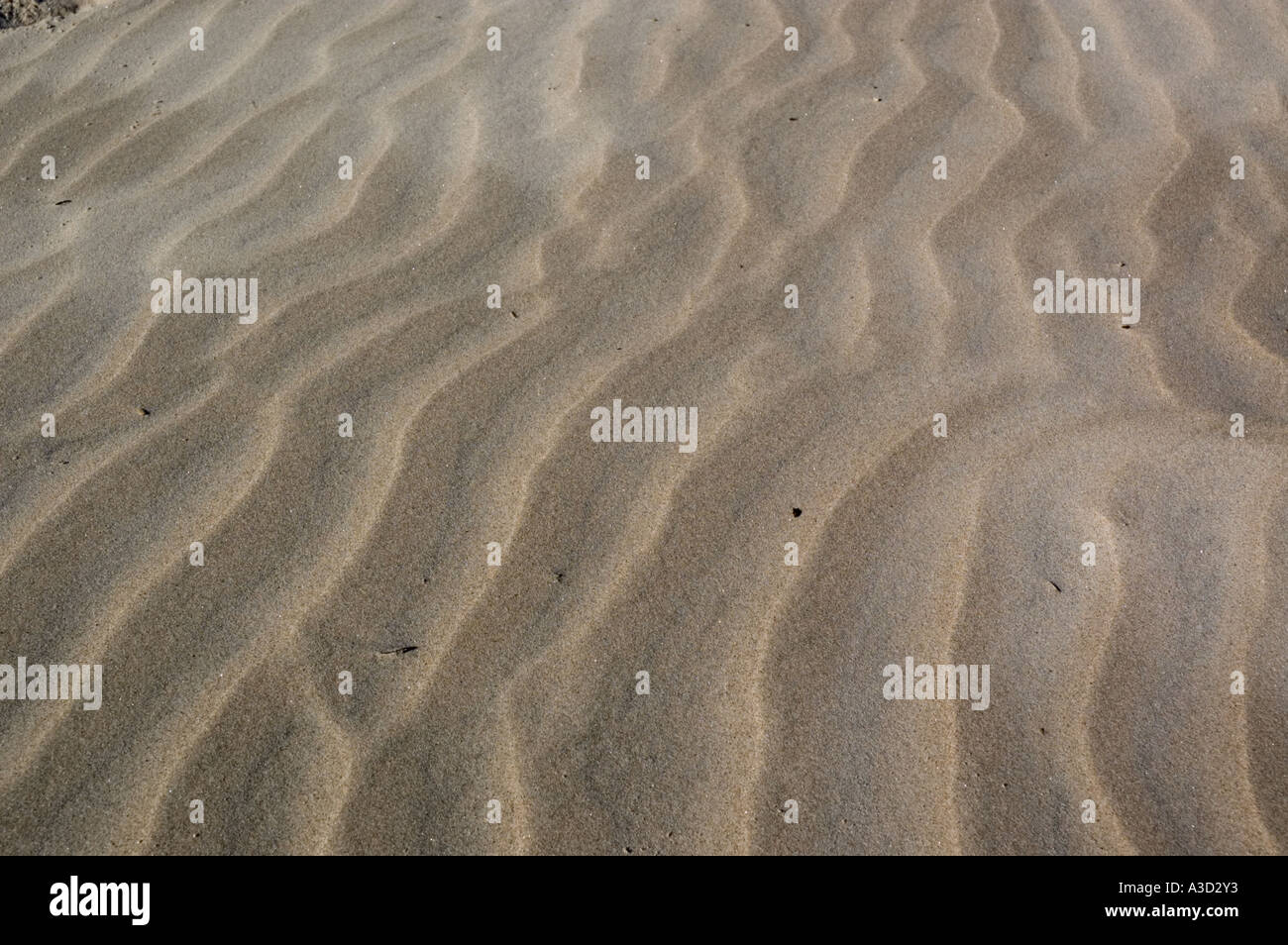 Ripple shapes in the sand caused by water flow and or wind Stock Photo ...
