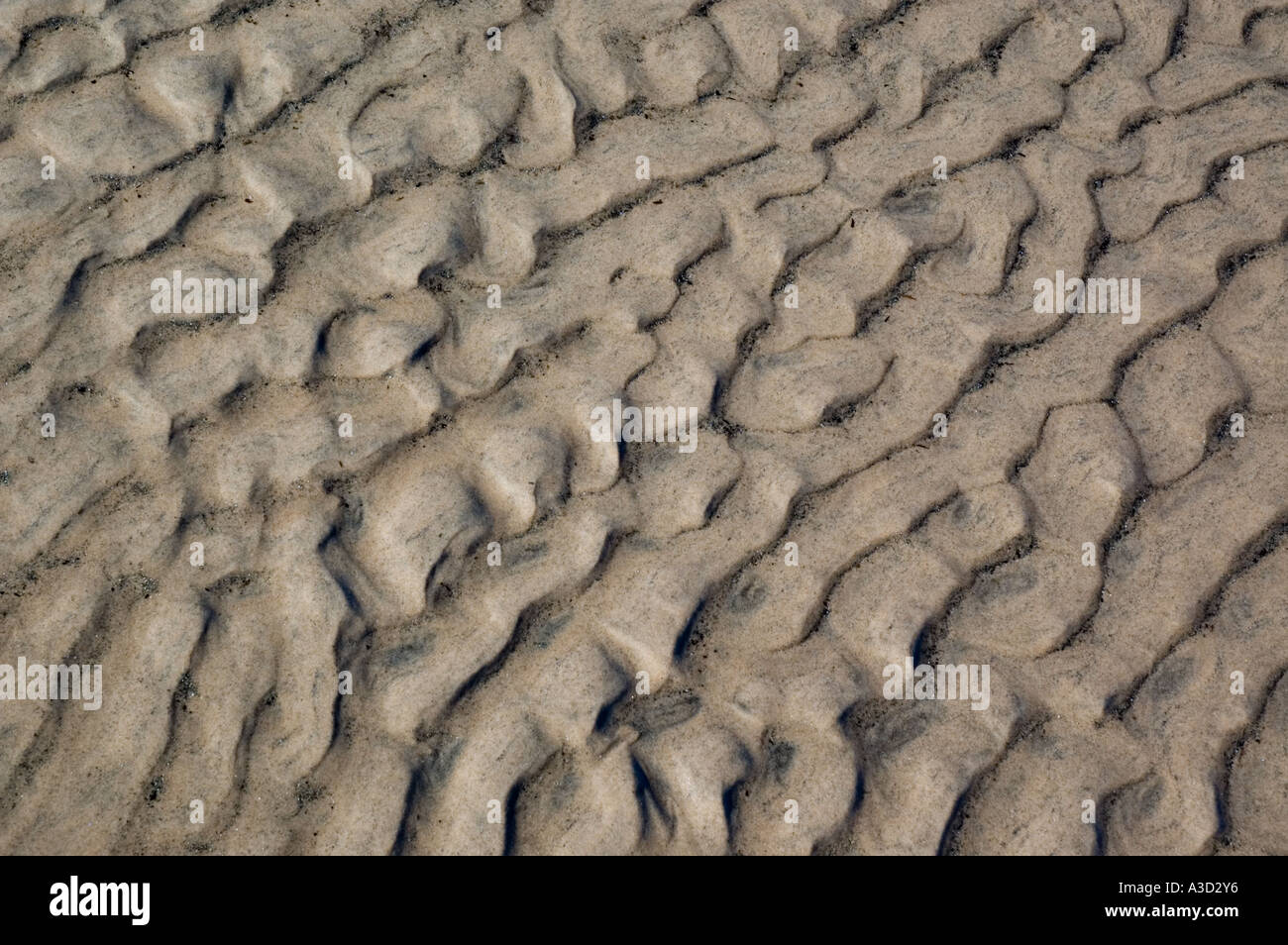 Ripple shapes in the sand caused by water flow and or wind Stock Photo ...