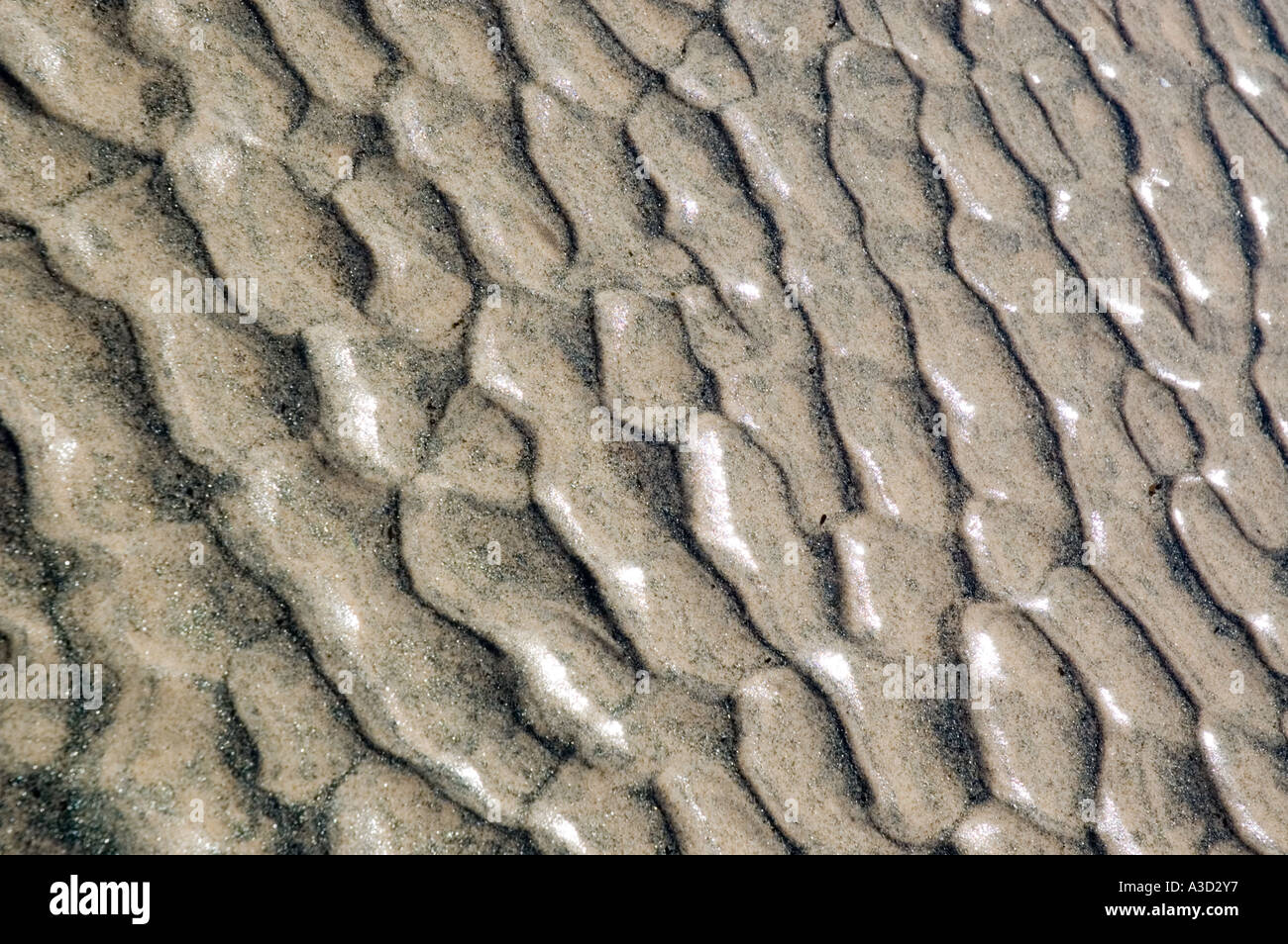 Ripple shapes in the sand caused by water flow and or wind Stock Photo ...
