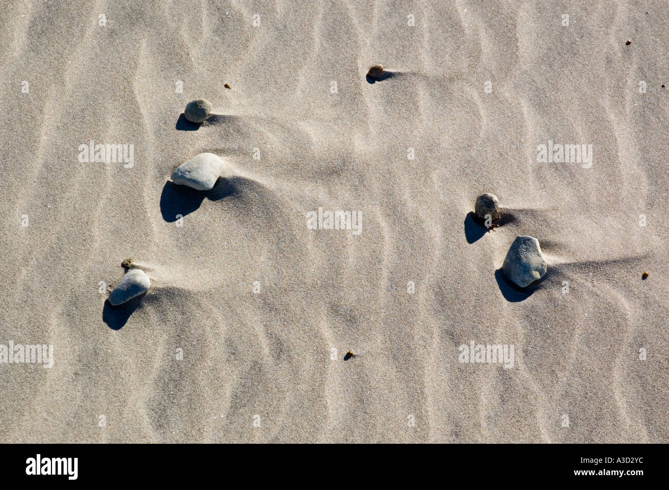 Pebbles set in the wind blown sand on the beach Stock Photo - Alamy