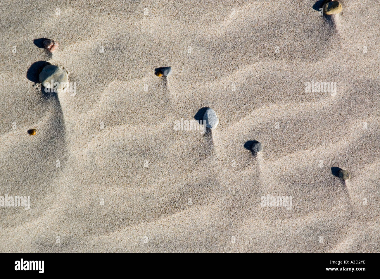 Pebbles set in the wind blown sand on the beach Stock Photo - Alamy