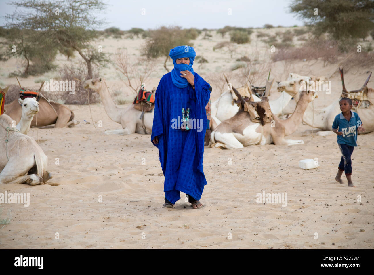 Tuareg tribesman in the Sahara desert near Timbuktu Mali West Africa ...