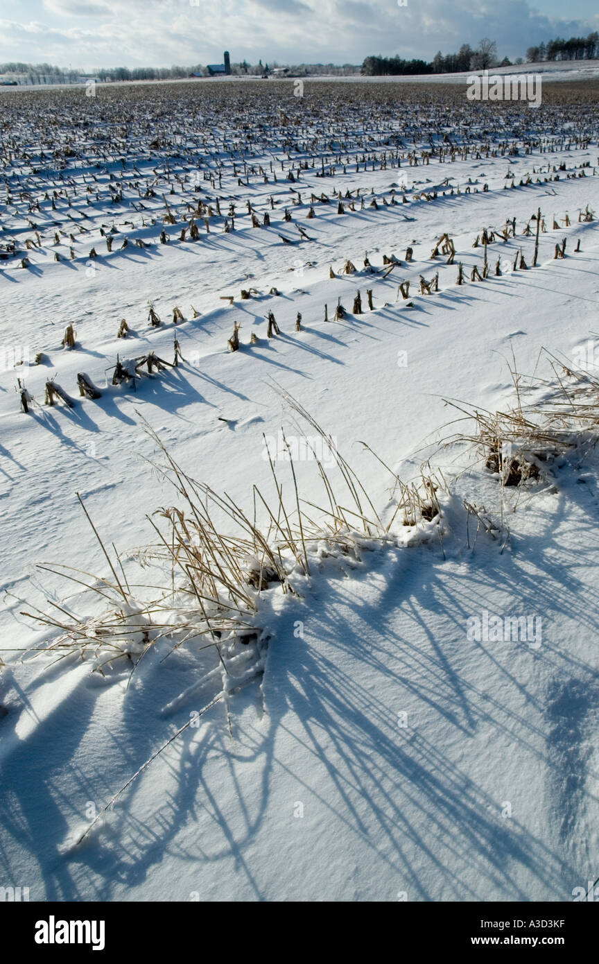 Farmers field wind swept and frozen Stock Photo - Alamy