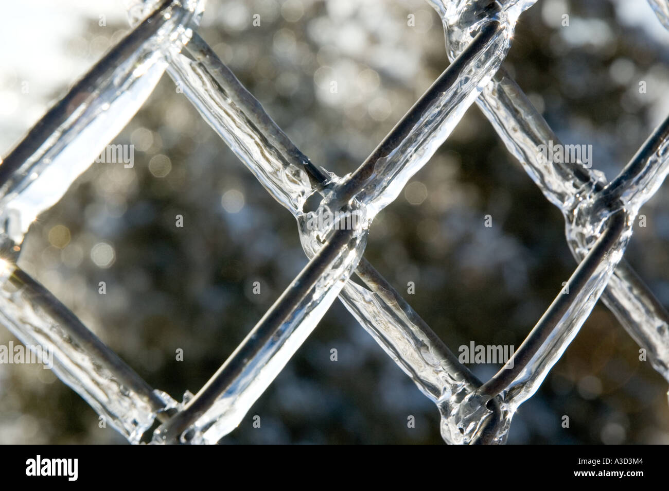Ice clinging to a metal chain link fence after a freezing rain storm ...