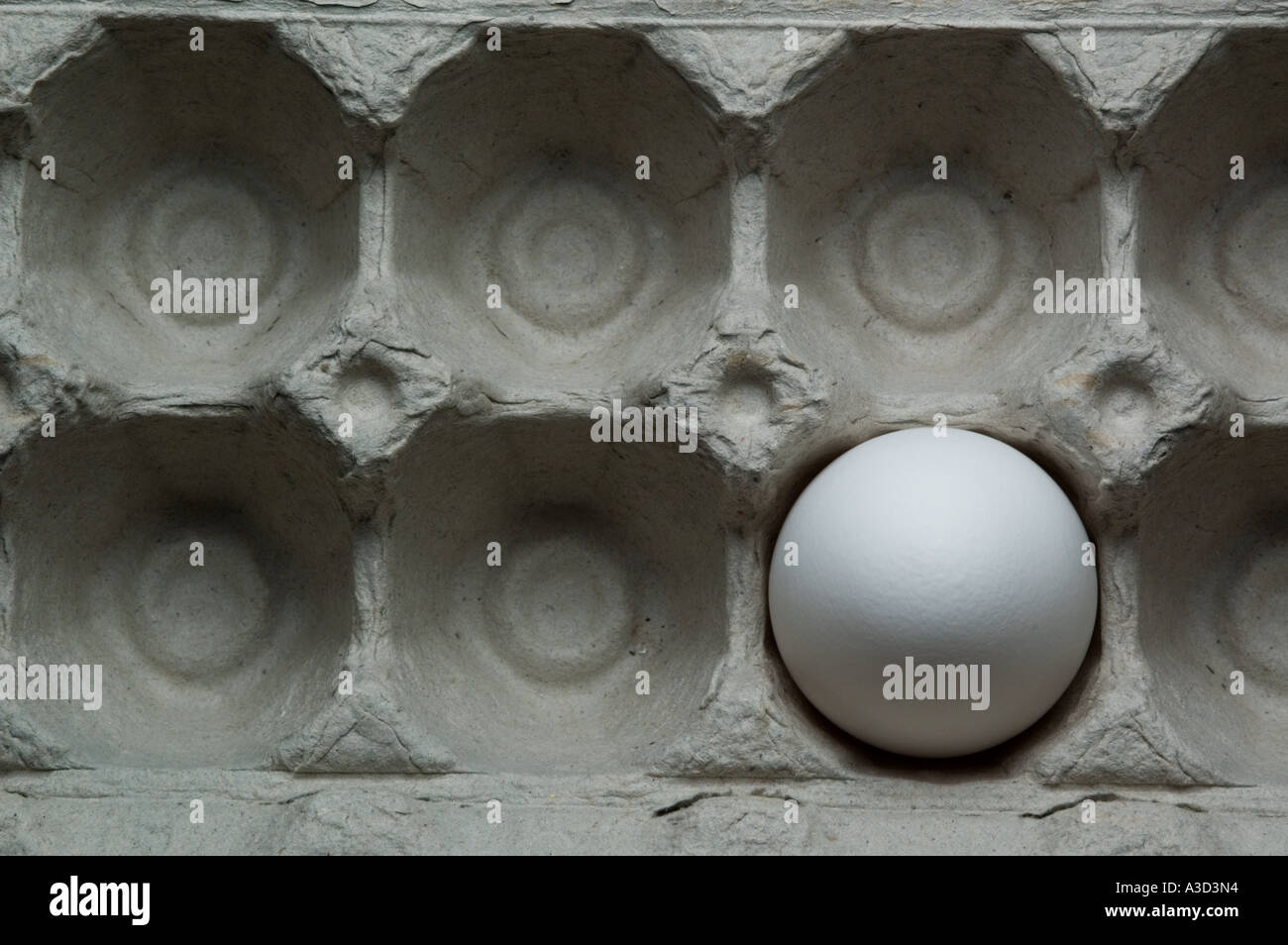 Lone egg hi-res stock photography and images - Alamy