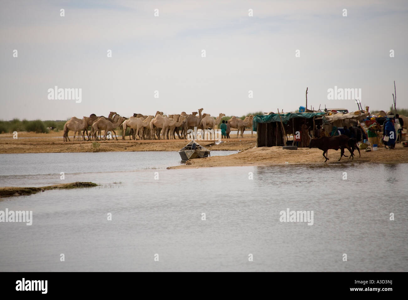 Fishing village by the landing beach of the Timbuktu ferry on the Niger ...
