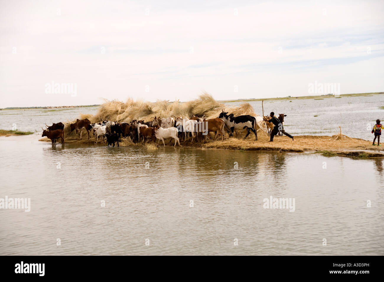 Fishing village by the landing beach from the Timbuktu ferry on the ...