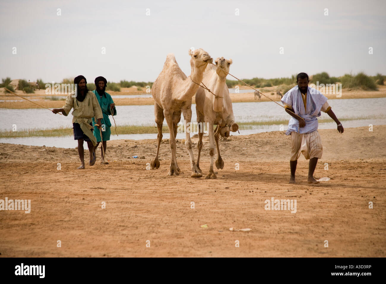 Ferry To Timbuktu High Resolution Stock Photography and Images - Alamy