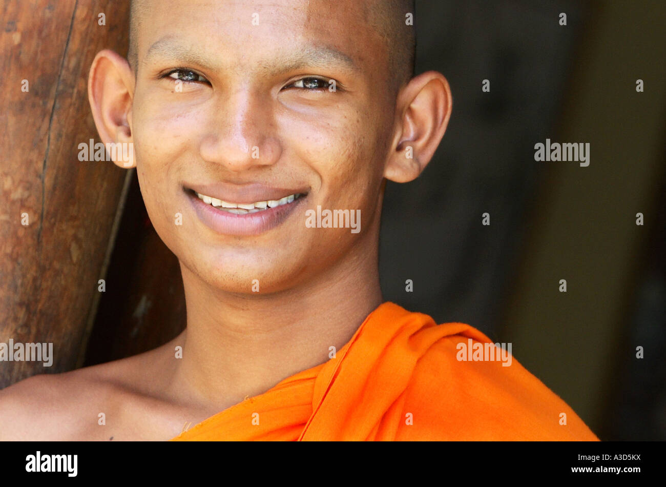 Close up portrait of young Buddhist monk in traditional orange robes ...