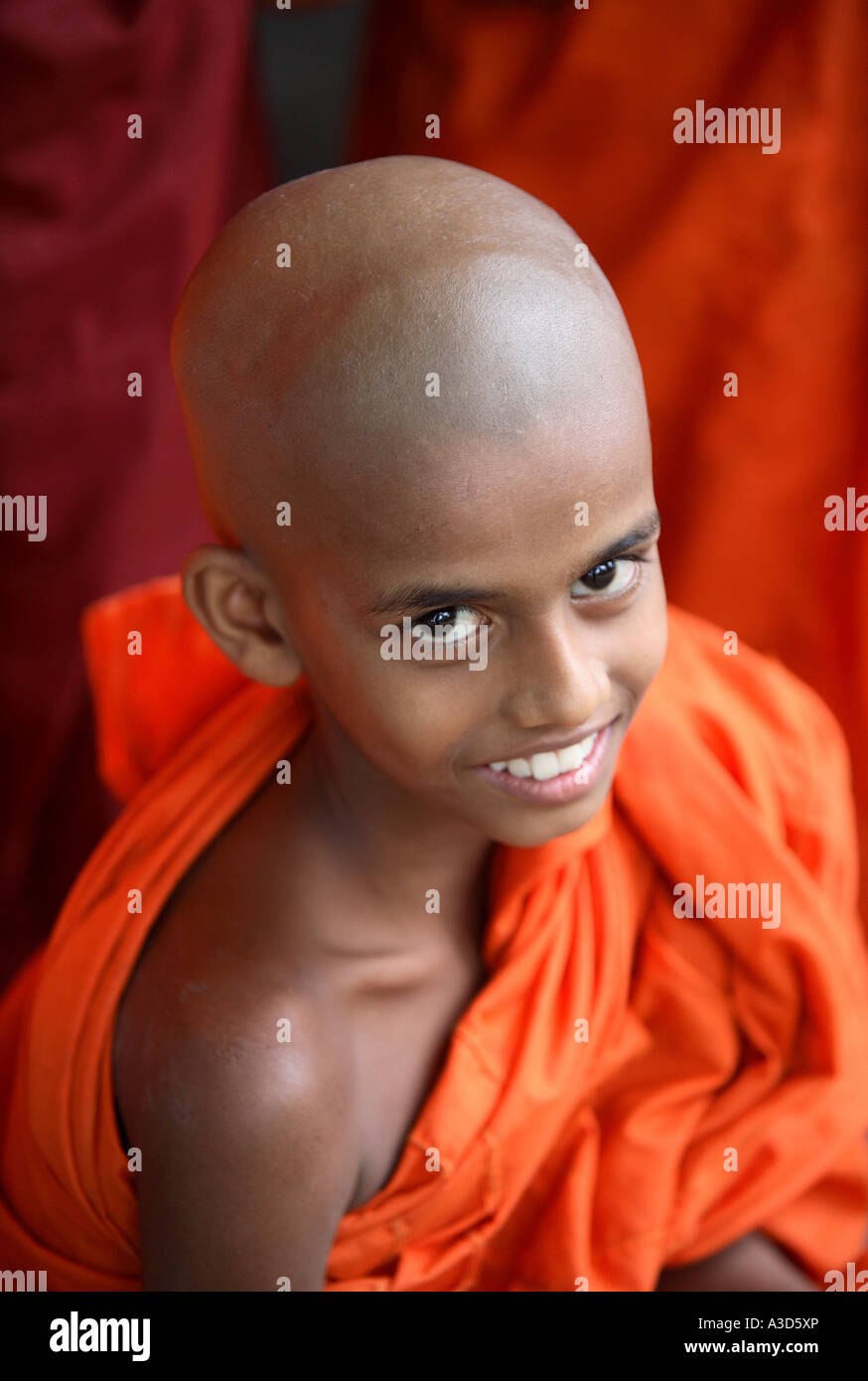 Close up portrait of young student Buddhist monk in traditional robes ...