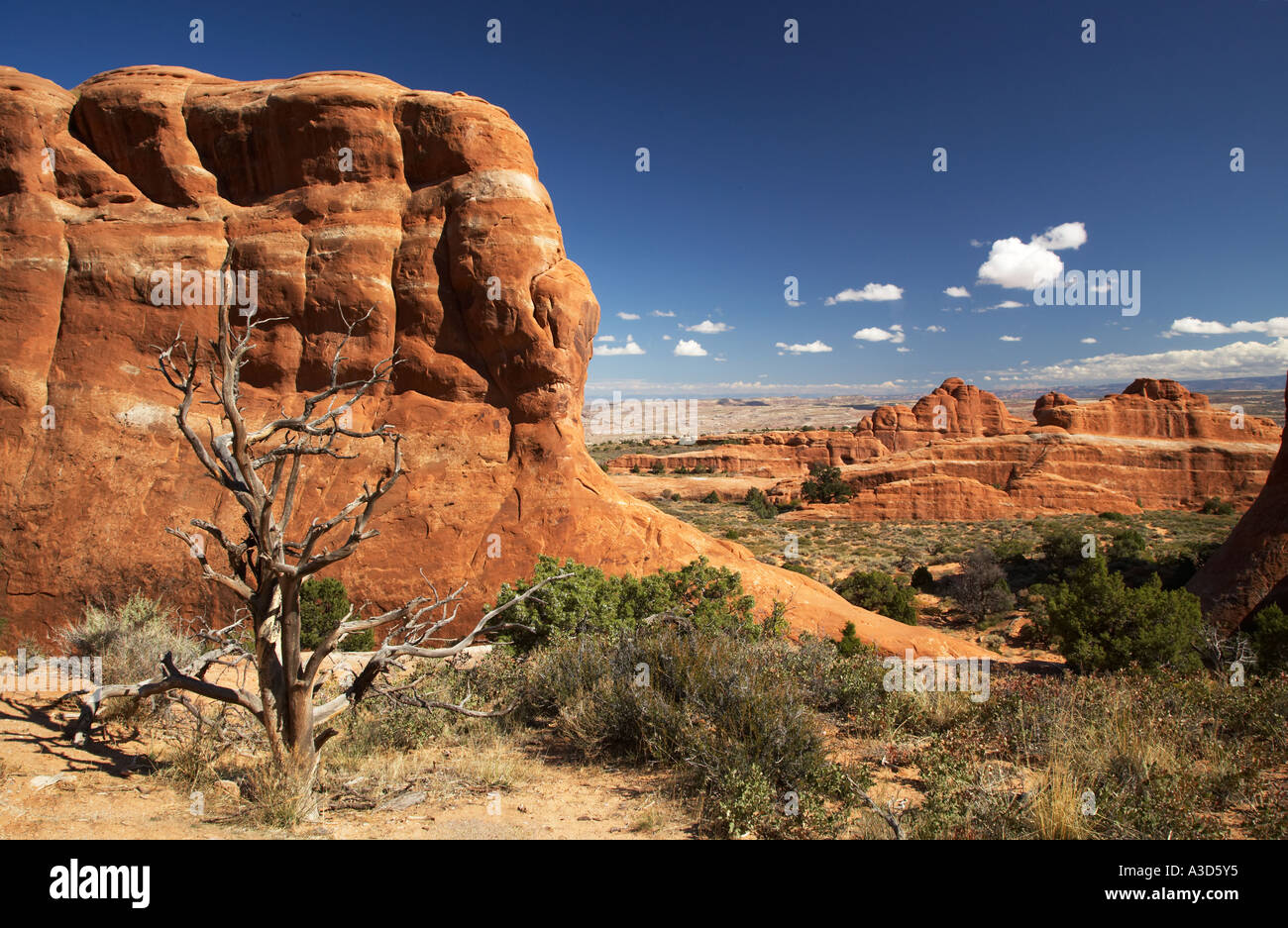 Rock Formation Devils Garden Arches National Park near Moab Utah USA ...