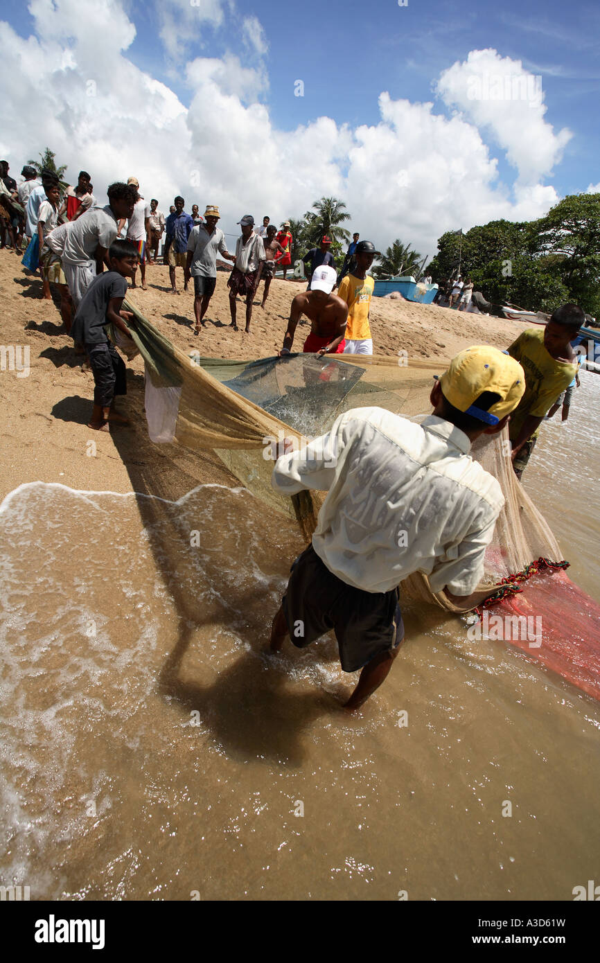Environmental portrait of Galle fishermen hauling catch of fresh fish ...