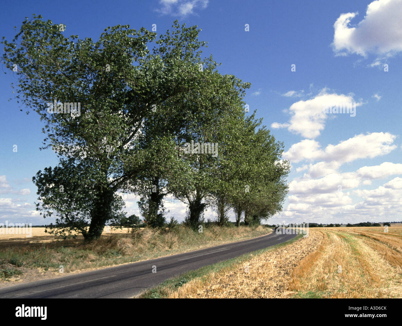 Suffolk england countryside hi-res stock photography and images - Alamy