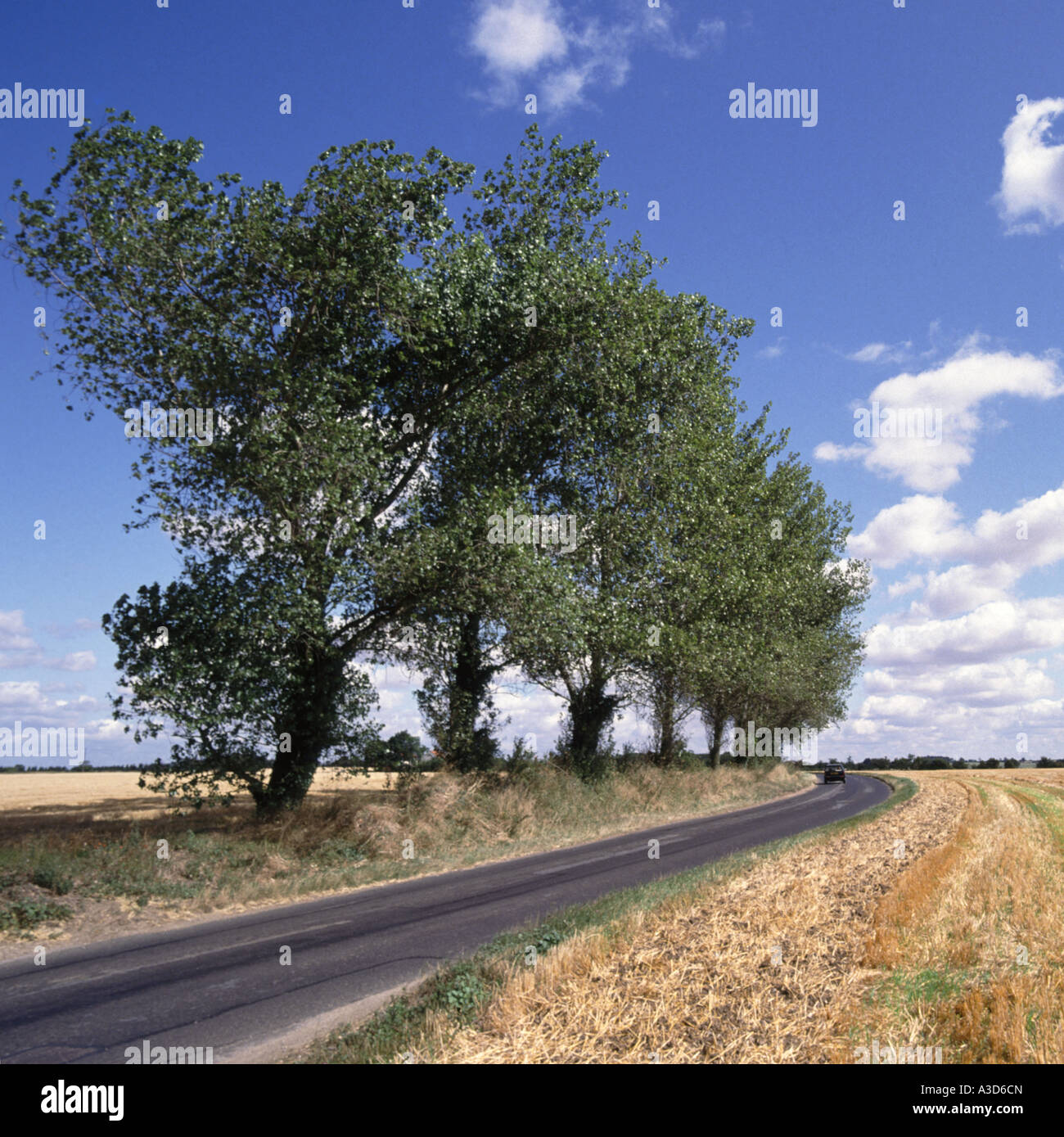 Big sky Suffolk countryside landscape country road passing through ...