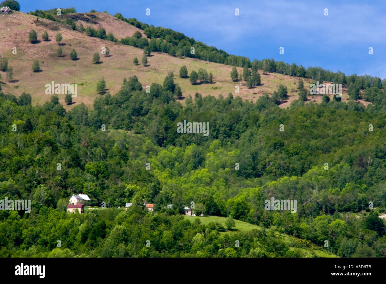 Above the village of Massat, Pyrenees Orientales, France, June 2005 ...