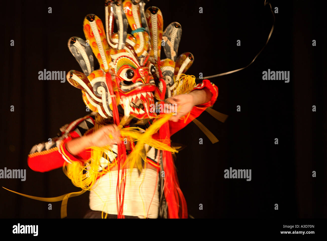 Portrait of world famous Kandy dancers in action performing on stage in ...